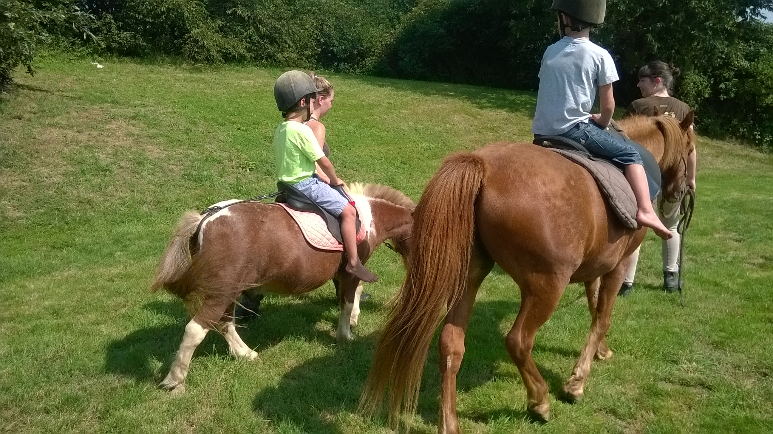 CARTE SORTIR RENNES : L’ACCÈS À LA CULTURE ET AU SPORT | Unidivers.fr