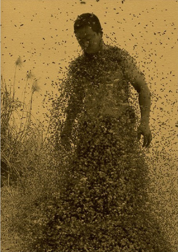 EXPOSITION AU 3 CHA : MARC JOHNSON OU LE SACRE DU PRINTEMPS