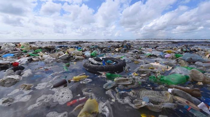 LE PAPIER DE PIERRE, RÉVOLUTION VERTE DE L’INDUSTRIE PAPETIÈRE