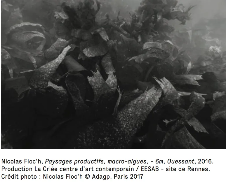 FRAC BRETAGNE. NICOLAS FLOC’H EXPOSE GLAZ