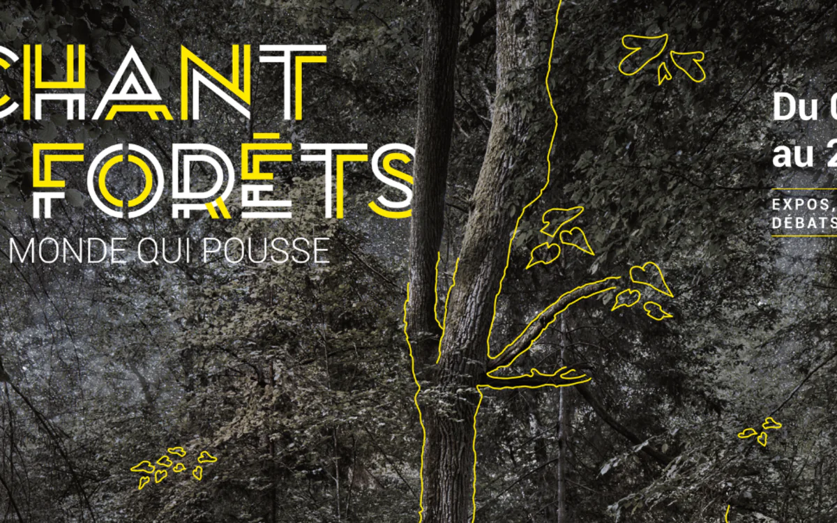 Exposition : Le Chant des Forêts MAIF Social Club Paris