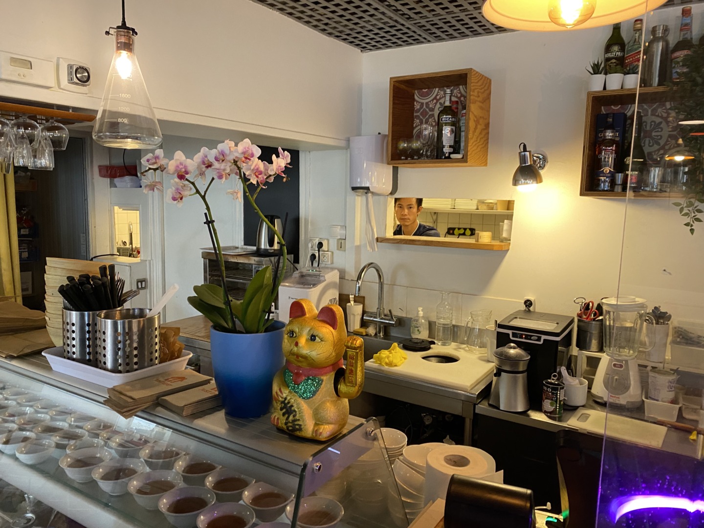 Rennes : ouverture du Chat Puccino, un bar à chats