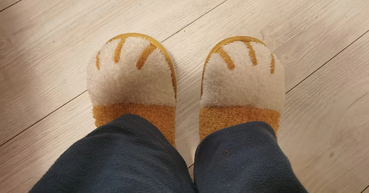 Nantes. Deltee, le prêt-à-porter qui aide les chats