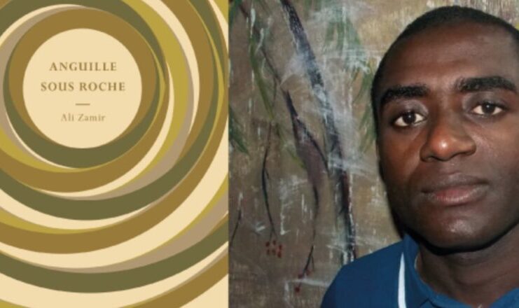 Anguille sous roche : premier roman océanique d'Ali Zamir