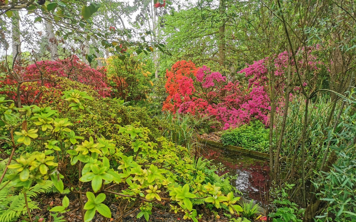 Les visites des jardiniers du Parc floral de Paris Parc Floral de Paris ...