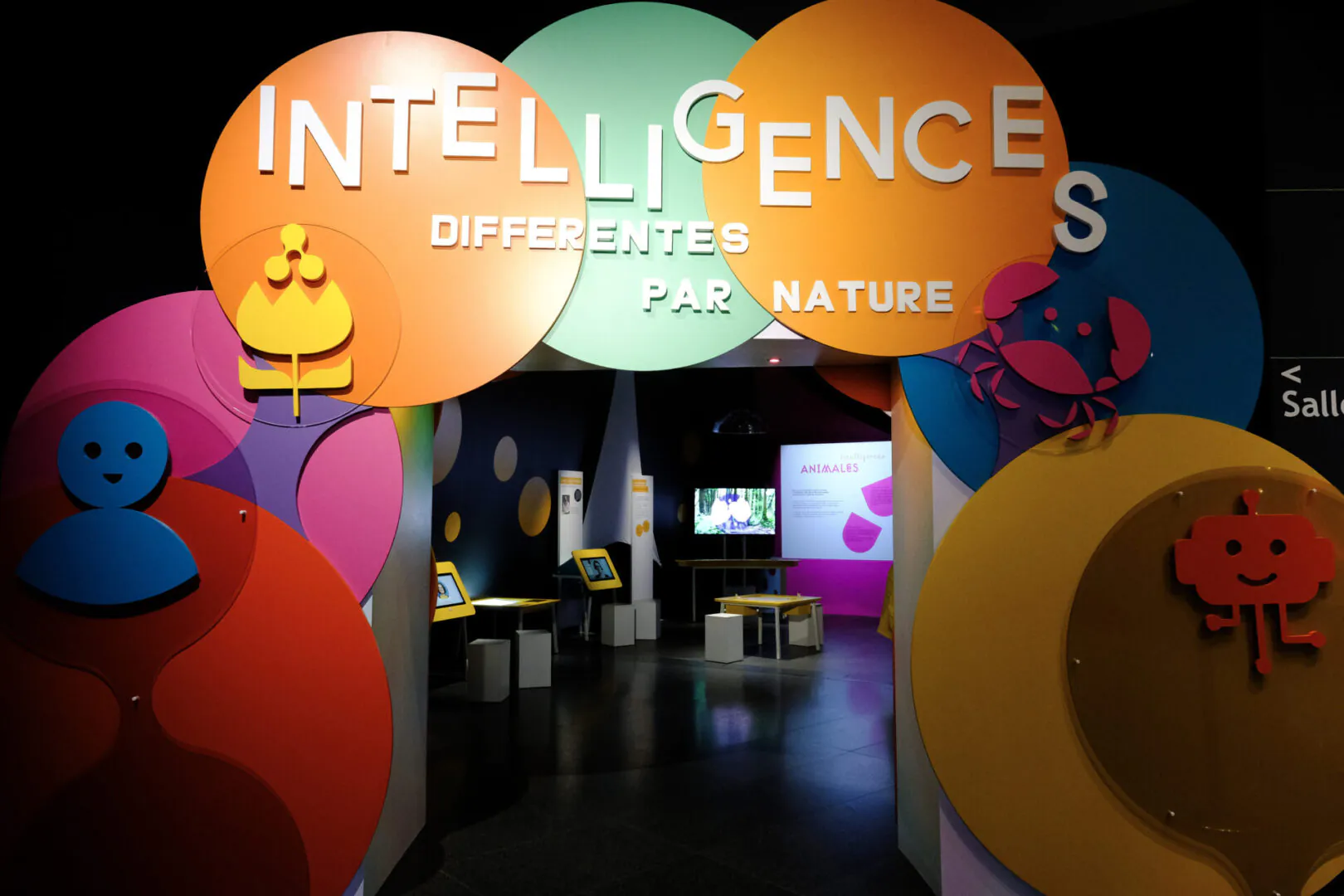 Rennes. Le monde des intelligences du vivant exposé à l’Espace des sciences