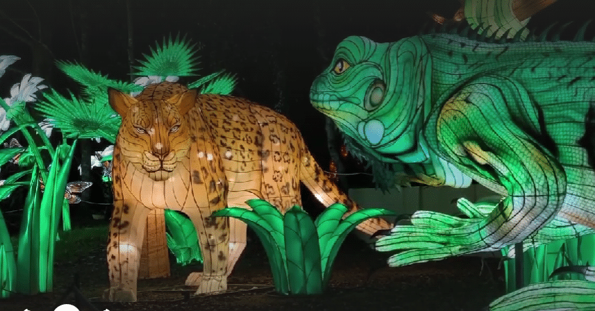 Pont Scorff Morbihan. Les animaux de lumière font resplendir les Terres ...