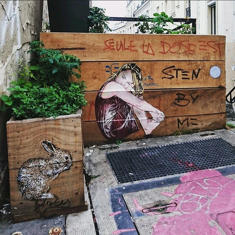 Adey pose ses lapins sur le MUR de Rennes – Unidivers