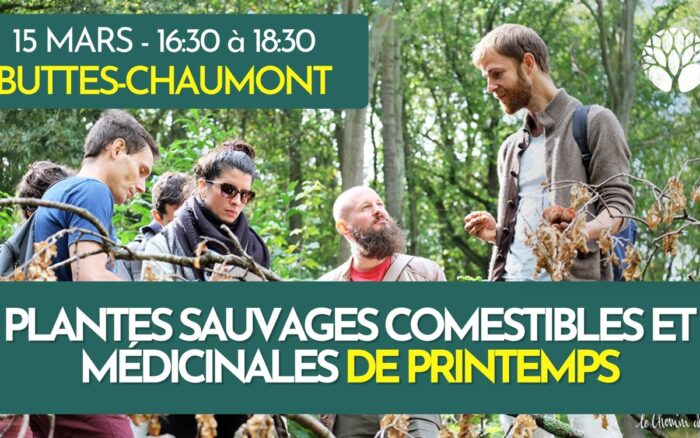 COMPOST PARTAGÉ A RENNES, LE BON SENS EN BAS DE CHEZ NOUS ? | Unidivers