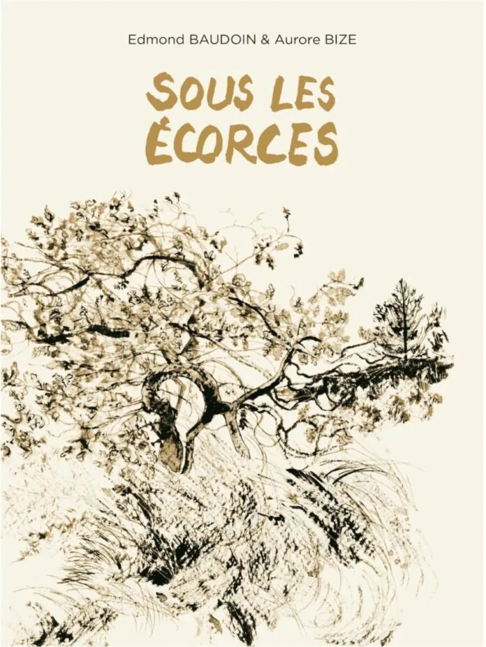BD Sous les écorces. Une correspondance amoureuse de Edmond Baudoin et ...